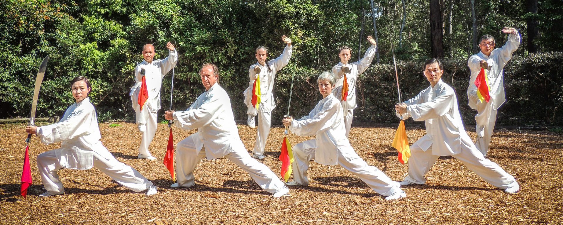 Sydney Tai Chi, Wushu Kung Fu & Bagua classes | Pei Lei Wushu Association