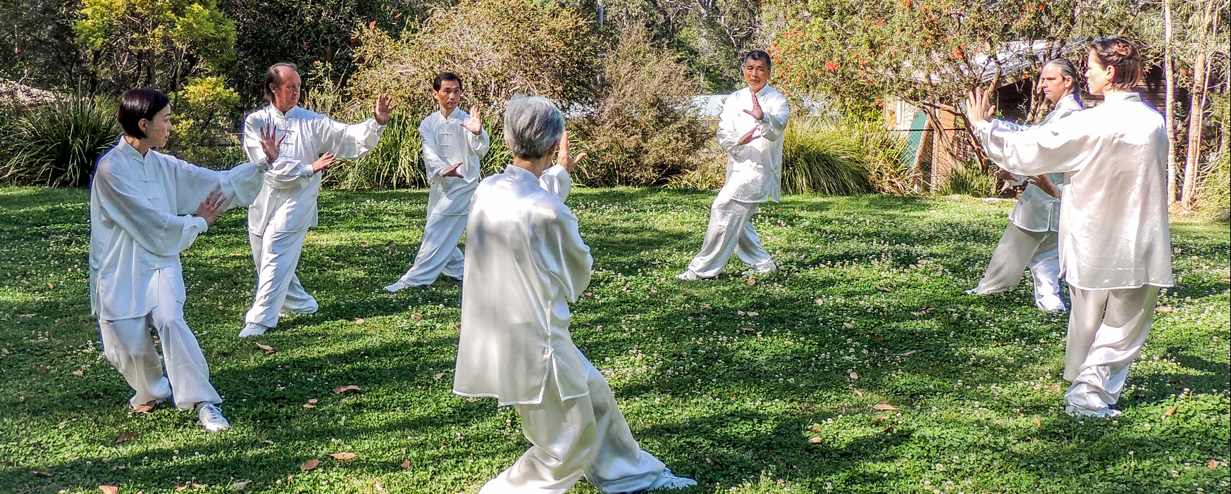 Sydney Tai Chi, Wushu Kung Fu & Bagua classes | Pei Lei Wushu Association