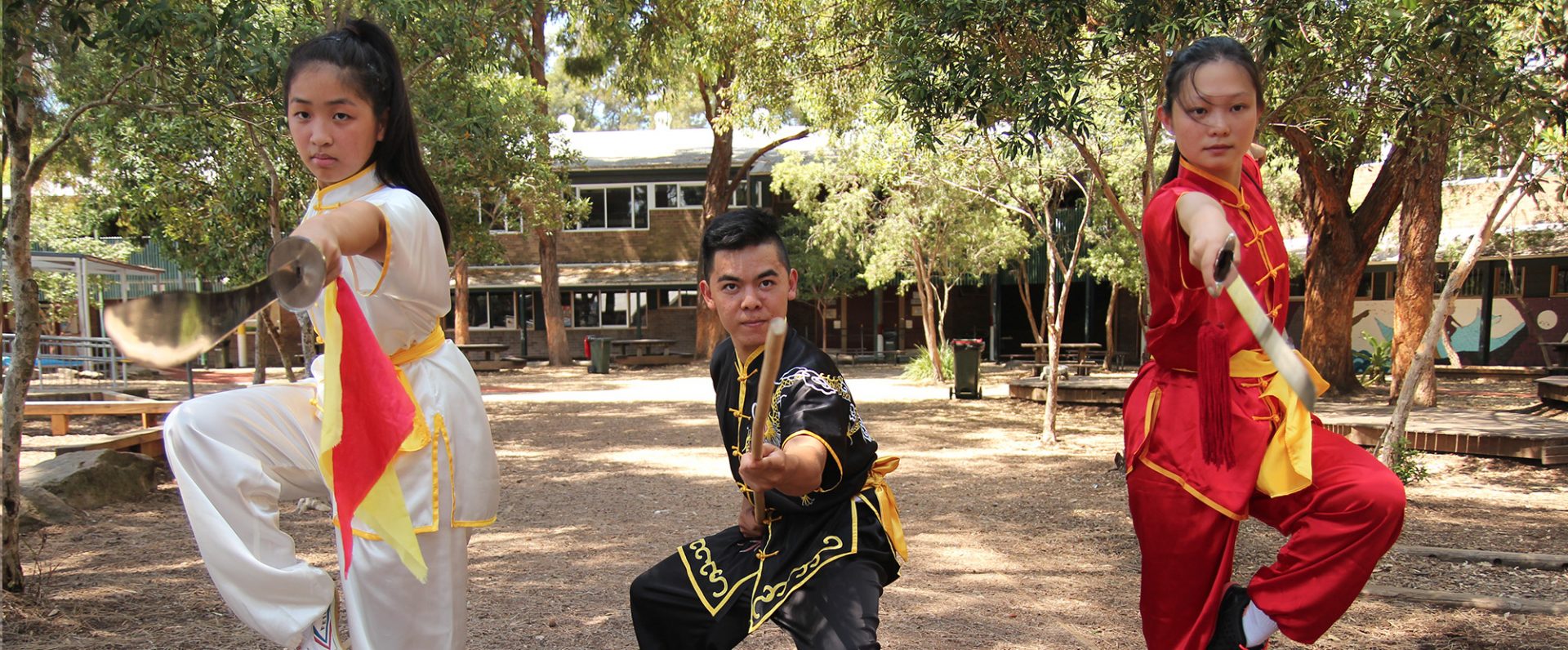 Sydney Tai Chi, Wushu Kung Fu & Bagua classes | Pei Lei Wushu Association